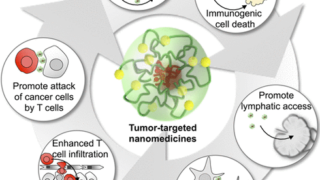 Nanocarriers address intracellular barriers for efficient drug delivery ...
